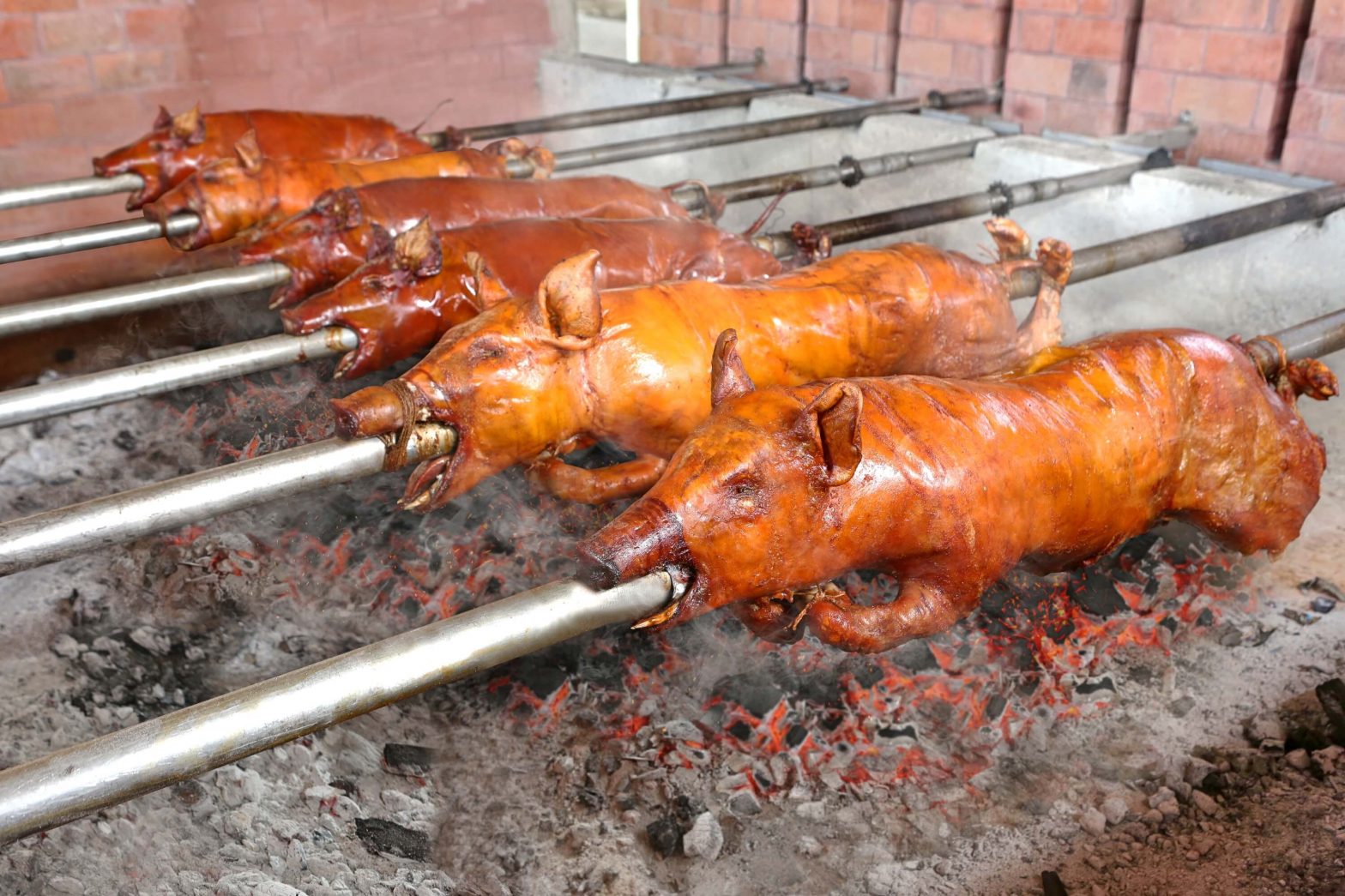 The Mactan Newtown holds grandest “Lechon Festival” in Cebu