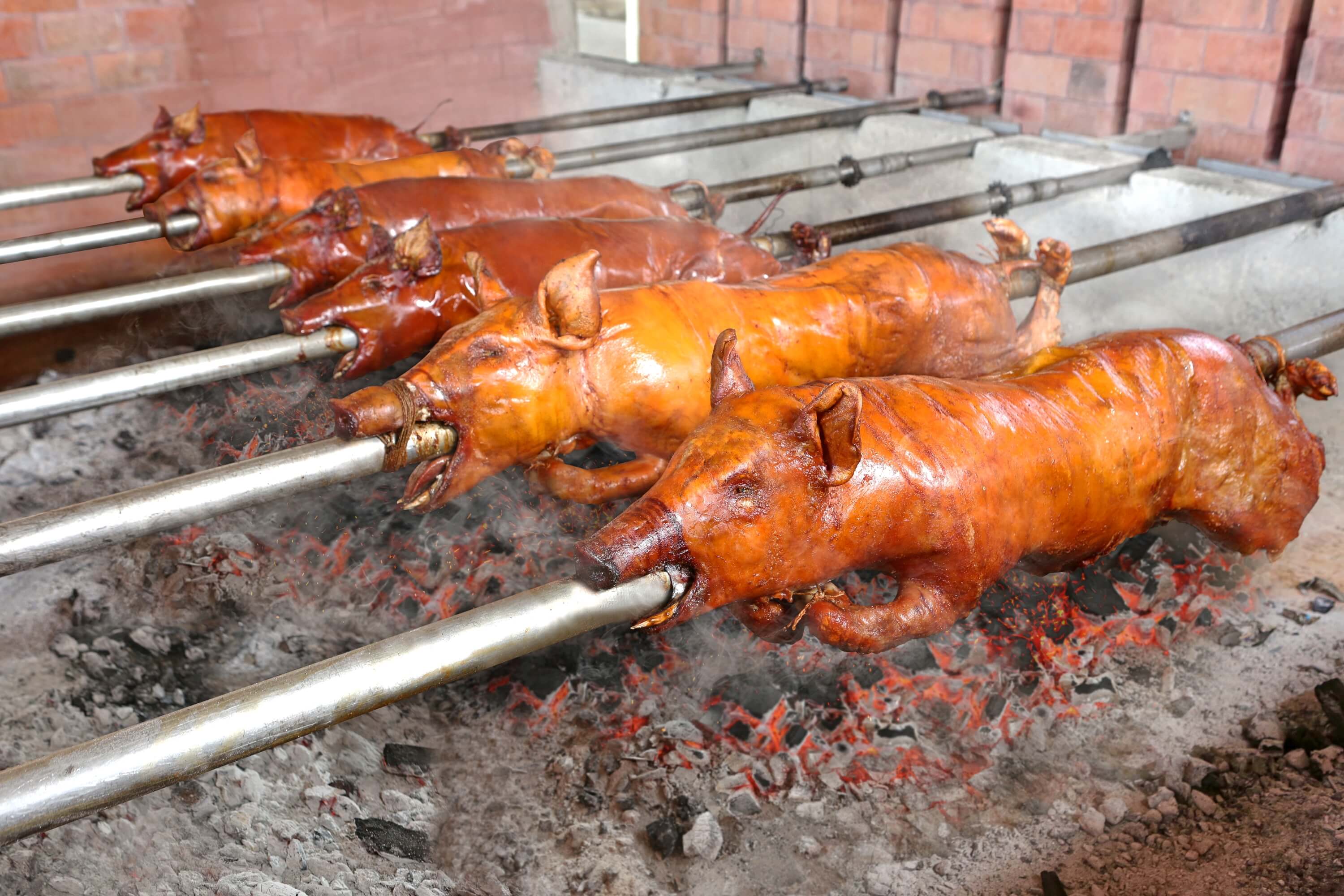 The Mactan Newtown holds grandest “Lechon Festival” in Cebu
